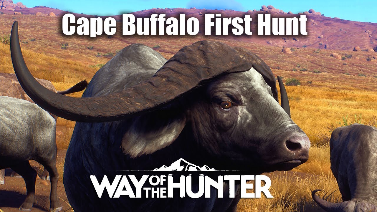 Way Of The Hunter - Cape Buffalo First Hunt - YouTube