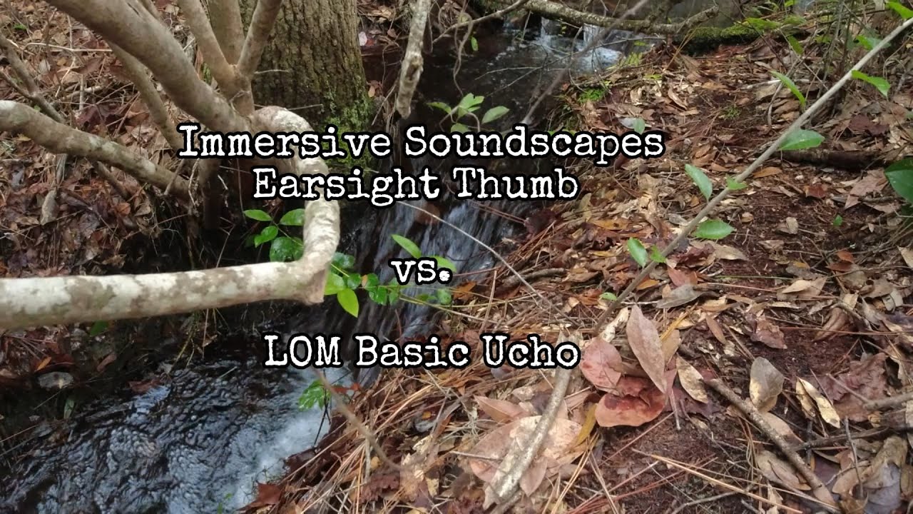 Microphone samples ~ LOM Basic Ucho & Immersive Soundscape Earsight ...