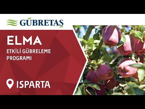 Elma | Etkili Gübreleme Programı