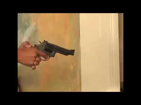 Gun Meme Was Made in Brazil (Meme #1)