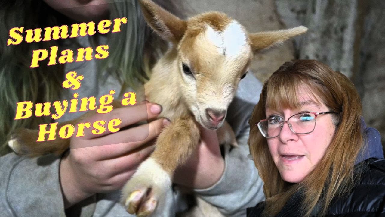 Our Summer Plans and Buying A New Horse - YouTube