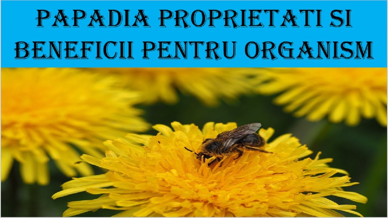 Papadia Proprietati si beneficii pentru organism - YouTube