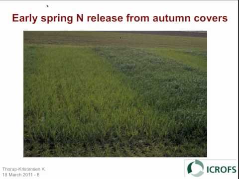 Organic Cropping Systems for Vegetable Production: Crop Nutrition and ...