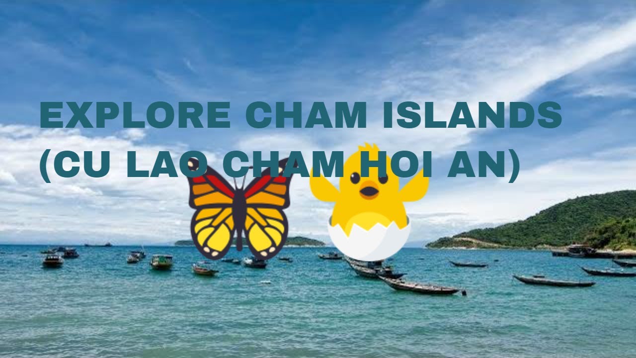 CU LAO CHAM HOI AN( CHAM ISLANDS): A must-visit tourist destination in ...