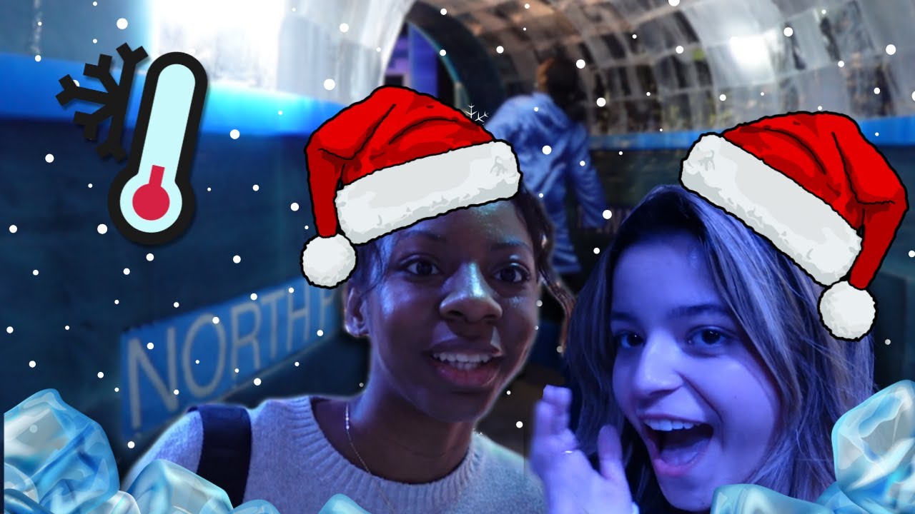 Exploring ICE Sculptures at the Gaylord Resort - YouTube