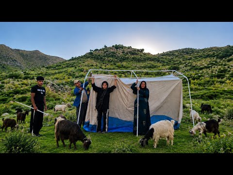 Göçebe Yaşam 🏕️ | Dağlarda geleneksel bir çadır kurmak ve göçebe yaşamın sırları