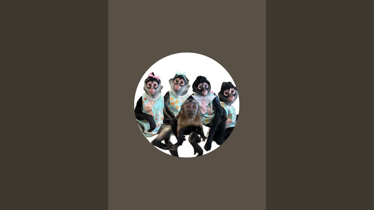 Our Life Adventures is live! 5-19-24 - YouTube