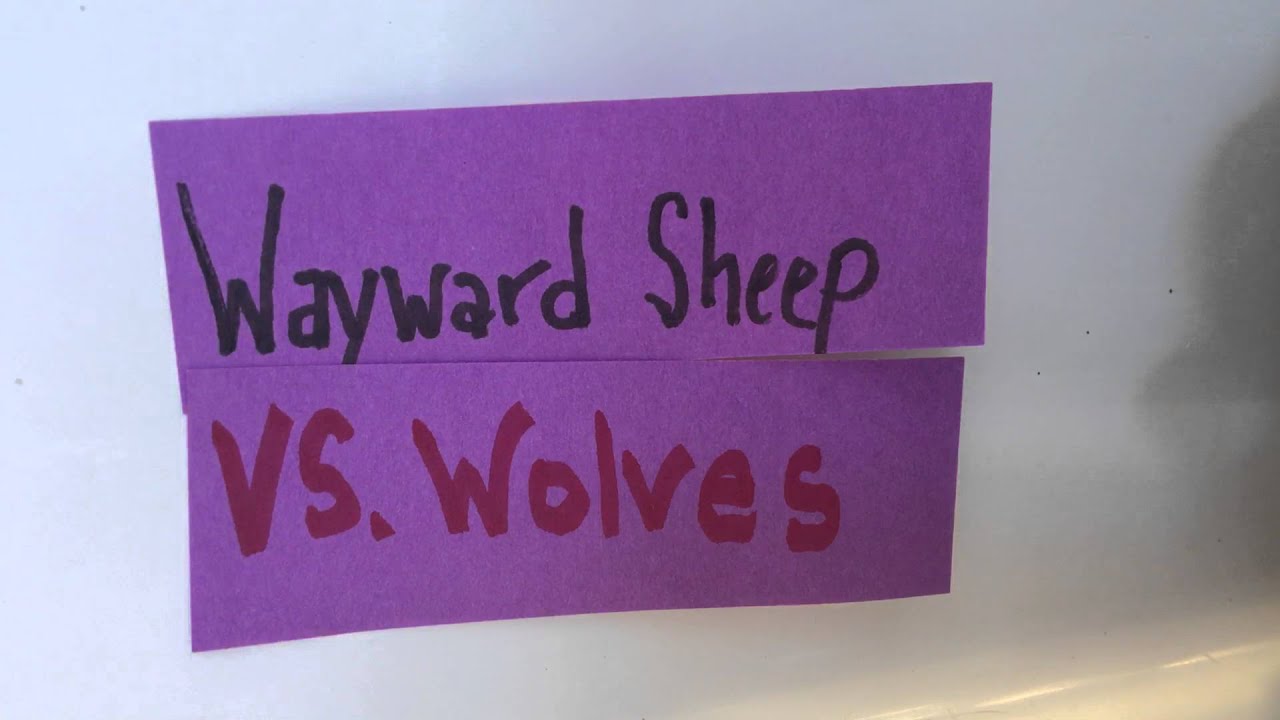 WAYWARD SHEEP - YouTube