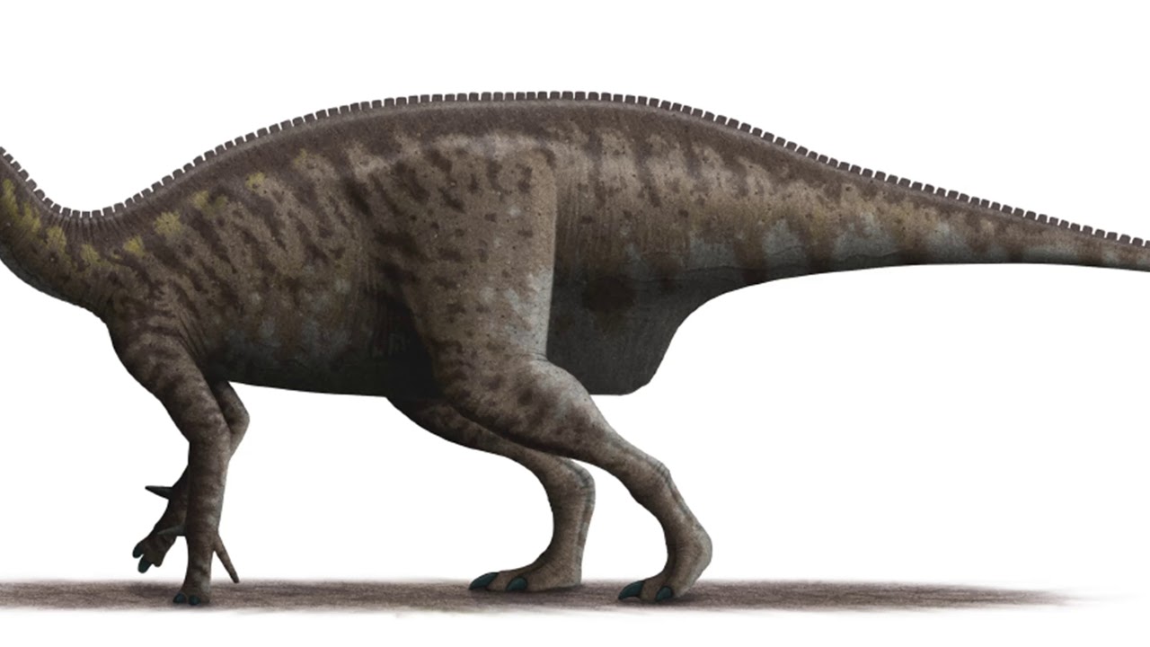 Mantellisaurus sounds - YouTube