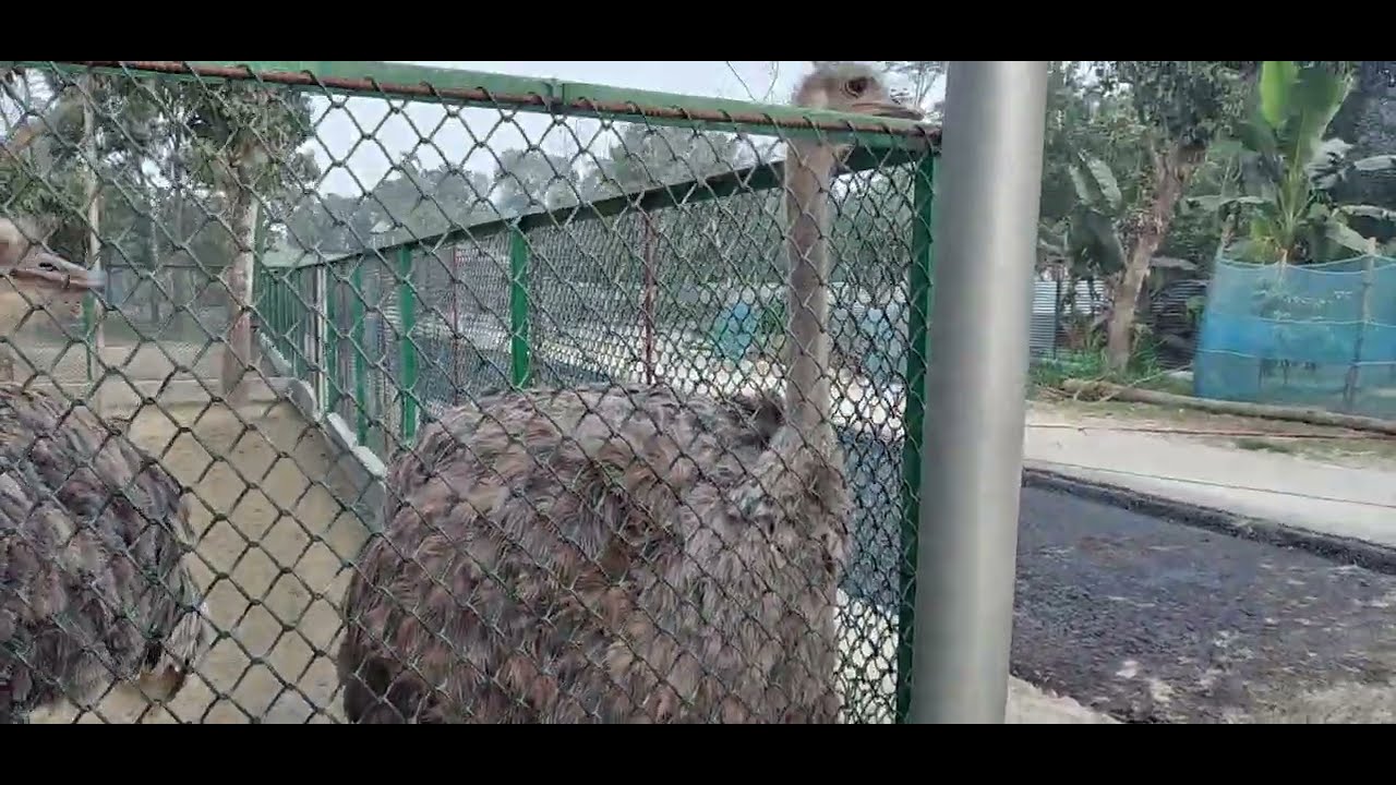 Travel to the Walton Farm house. - YouTube