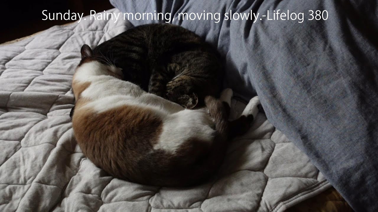Sunday. Rainy morning, moving slowly.-Lifelog 380 - YouTube
