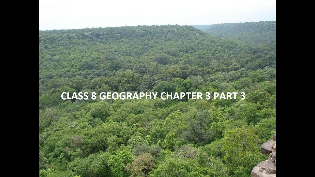 Class 8 Geography Chapter 3 Part 3 - YouTube