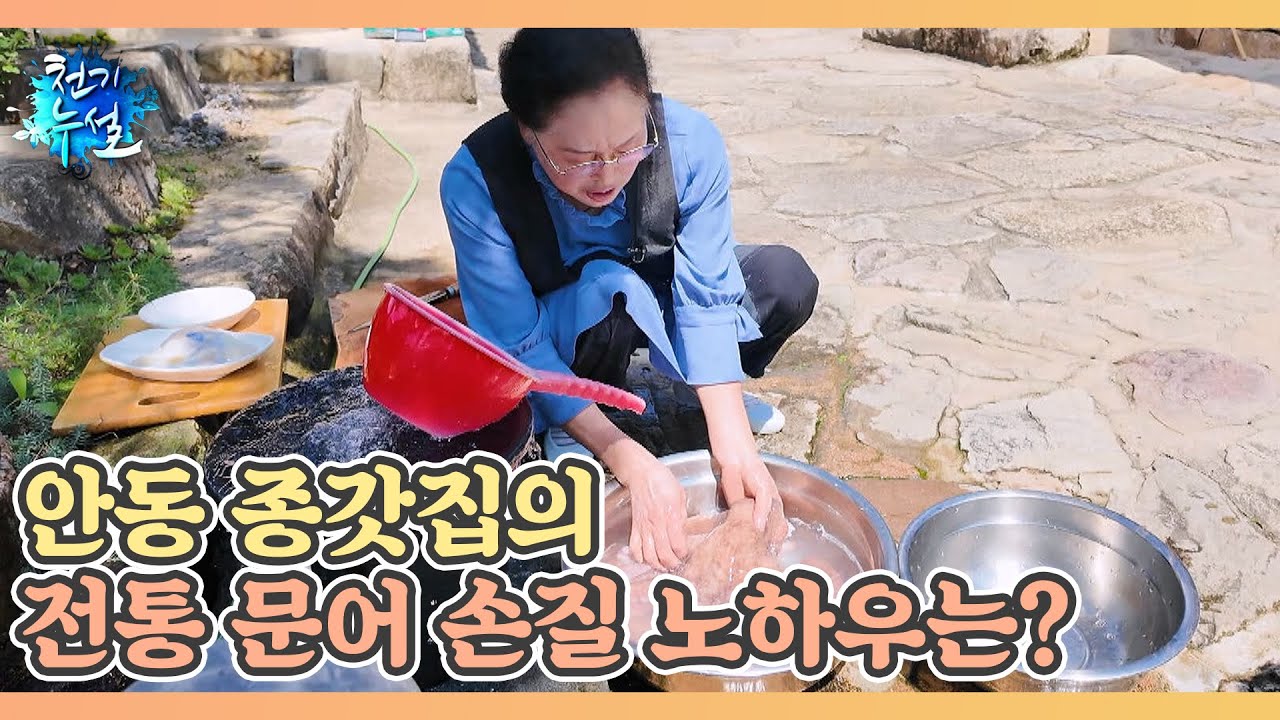안동 종갓집의 전통 문어 손질 노하우는? MBN 240906 방송 - YouTube