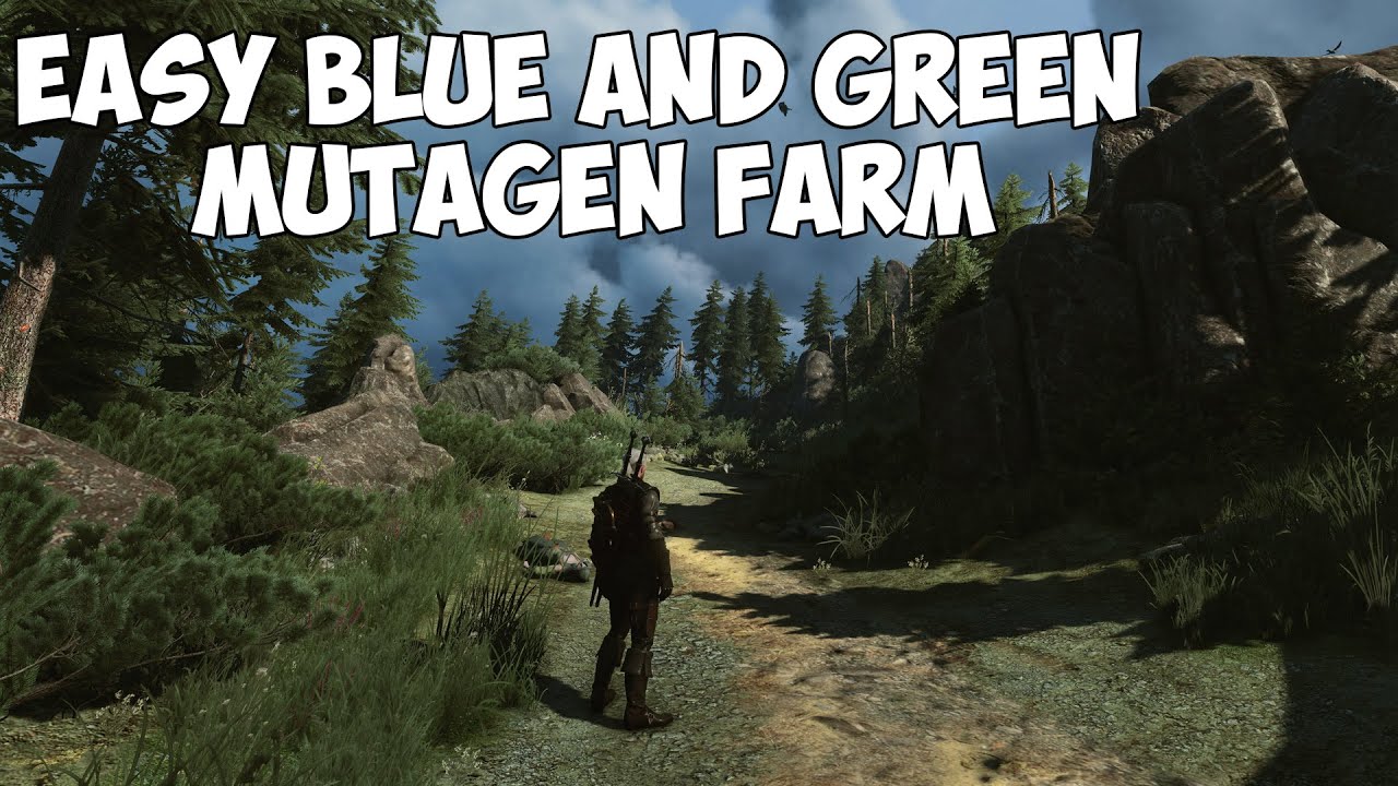 The Witcher 3: Wild Hunt - How to farm blue and green mutagens - YouTube