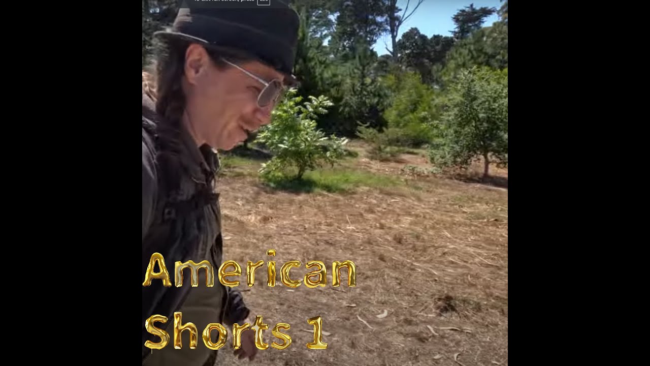 American Shorts pt 1 - YouTube