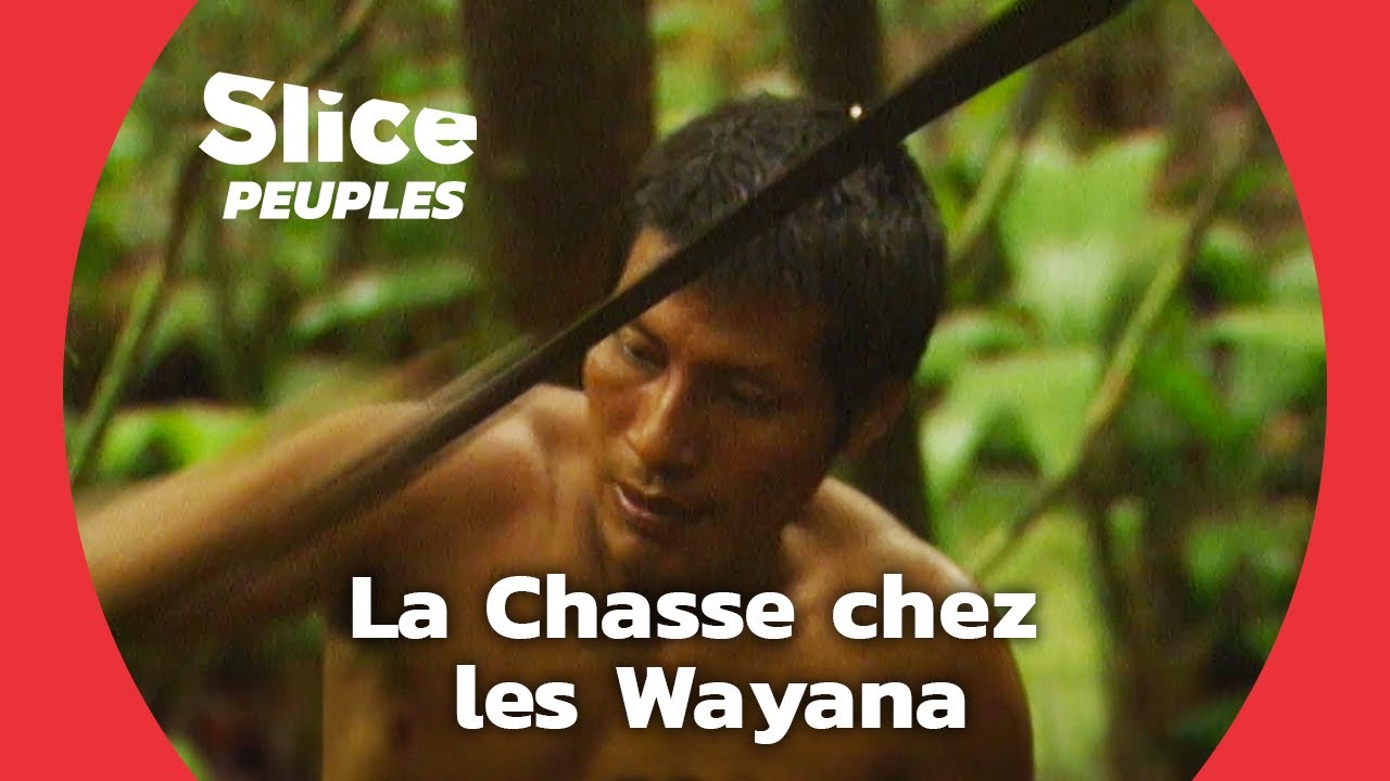 Amazonie : Les Techniques de Chasse des Wayana | SLICE PEUPLES - YouTube