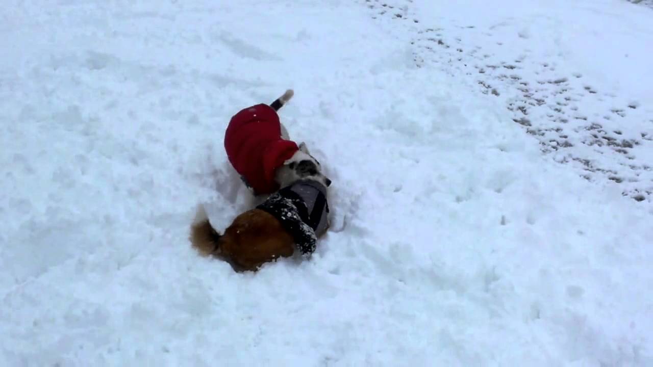 Midna and Atrus in the snow 5 - YouTube