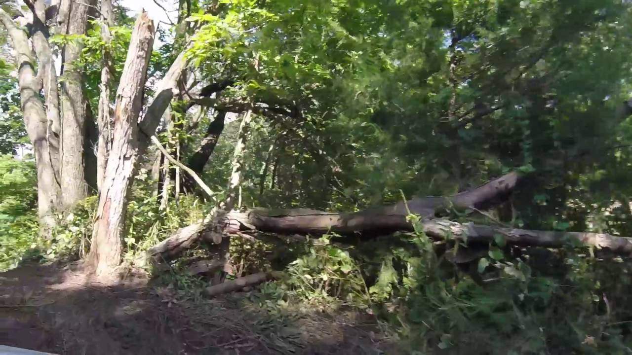 Perry Poker Run 2016 Second Section of Trails - YouTube