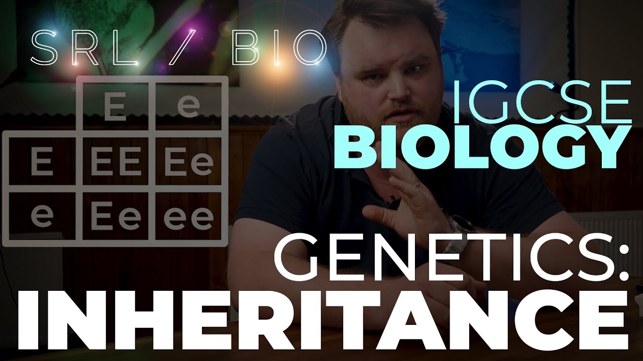 GCSE BIOLOGY: Genetic Inheritance - what you need to know! - YouTube