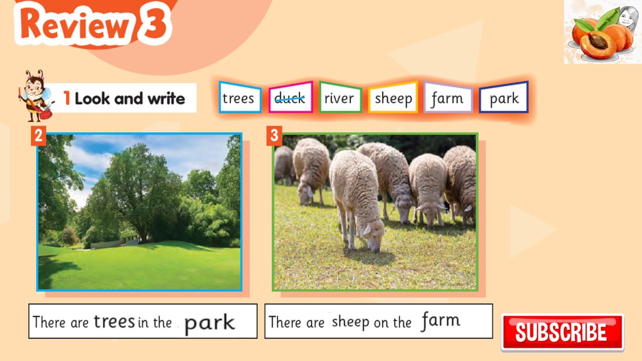 Connect for primary 2 Review 3 نصوص أستماع - YouTube