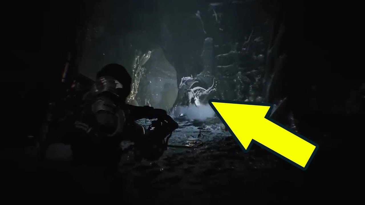 Aliens Fireteam Elite - Alien Queen in Pathogen DLC?! - YouTube