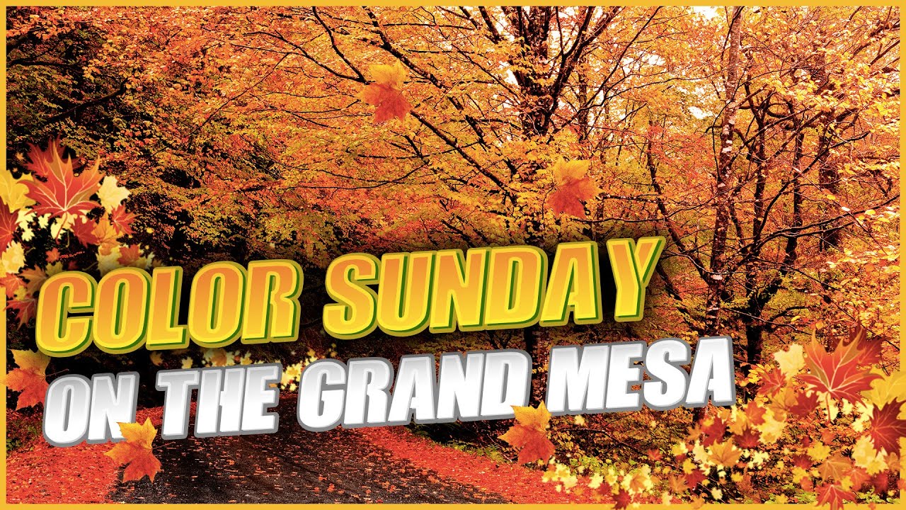 🍂Fall Colors! Grand Junction Colorado - YouTube