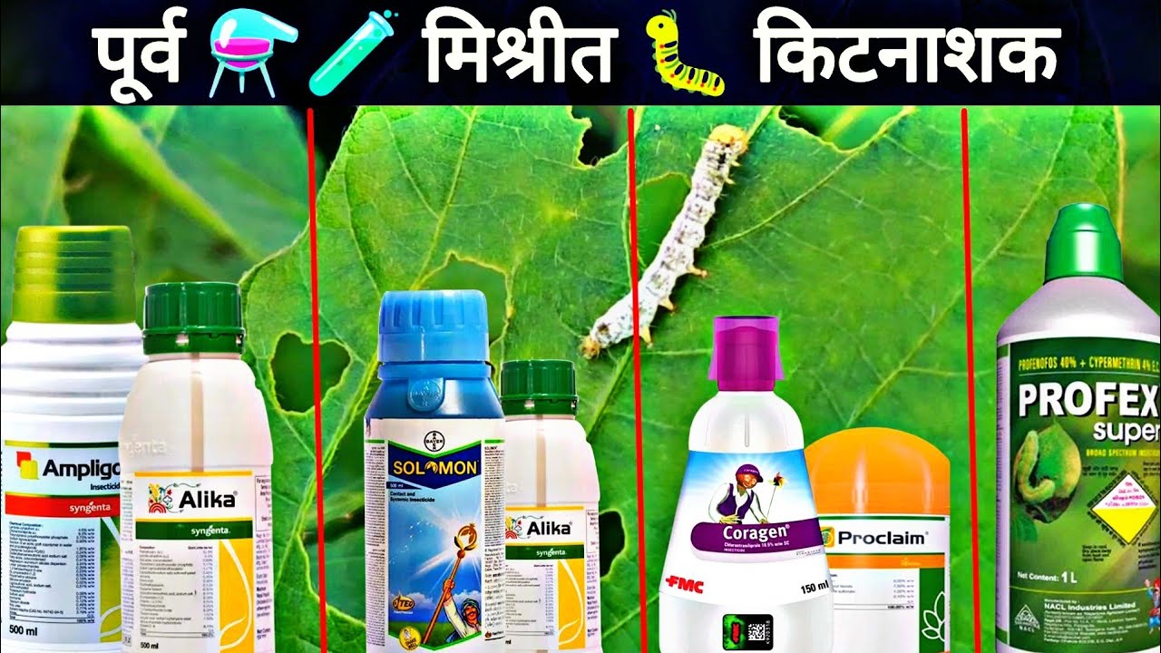 मिक्स किटनाशक | Syngenta Ampligo Alika | Adama Barazide Plethora ...