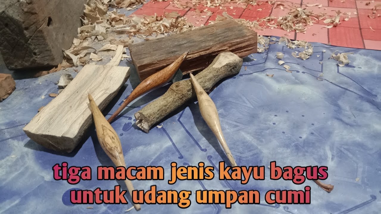 tiga jenis kayu yang sangat bagus untuk udang udang umpan cumi - YouTube
