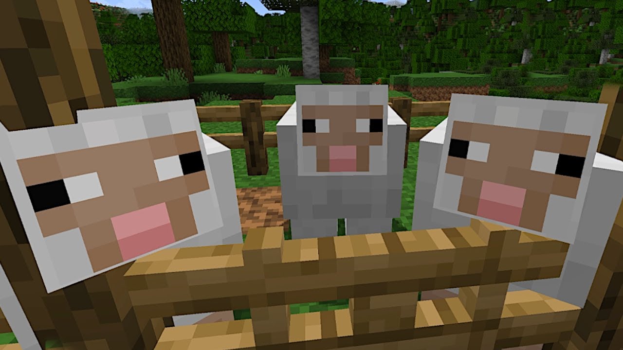 COUNTING SHEEP | Minecraft 1.19 - Part 7 - YouTube