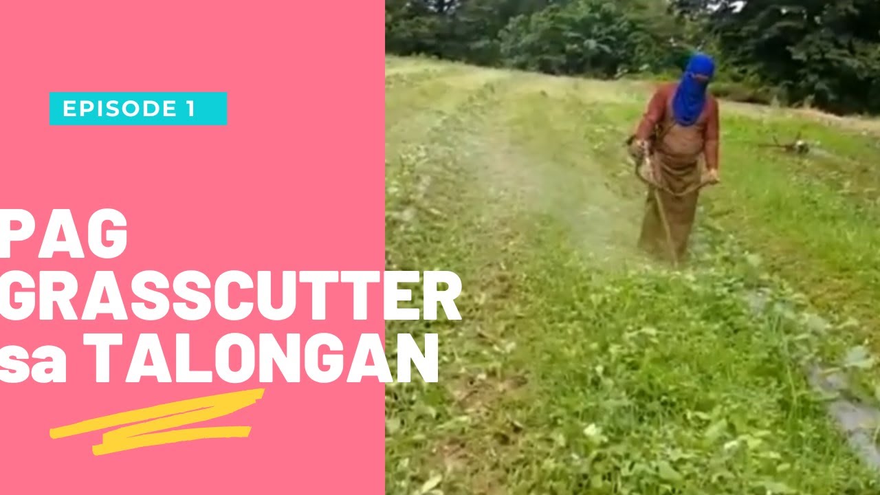 unang pag grass cutter sa pananim na TALONG - YouTube