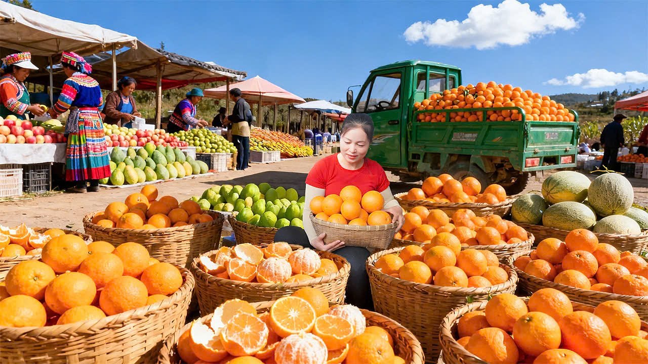 Harvesting Green Oranges – Clean Up Family Farm & Take Fresh Oranges to ...