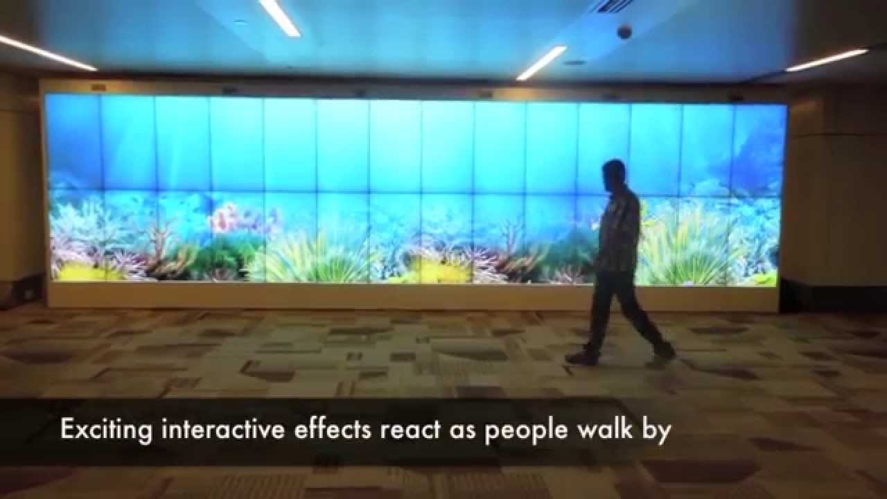 Interactive Video Wall Welcomes You to Delhi Airport - YouTube