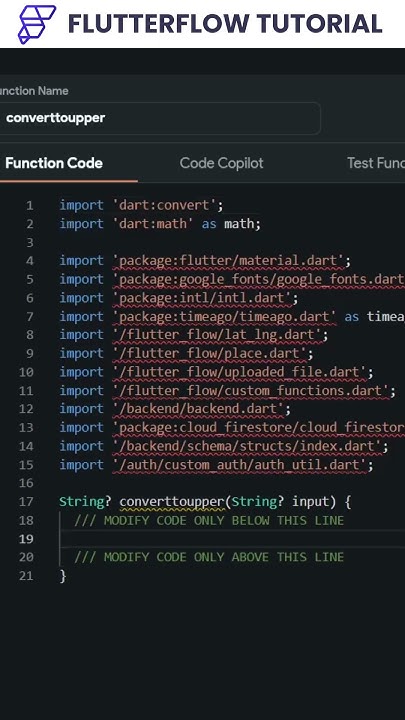 How to create Custom Function in FlutterFlow? - YouTube