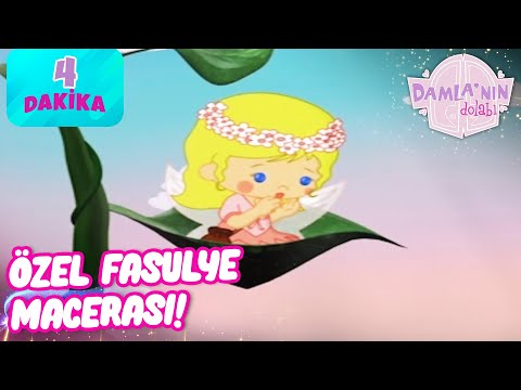 Damla’nın Fasulye Macerası🌱 | Damla'nın Dolabı