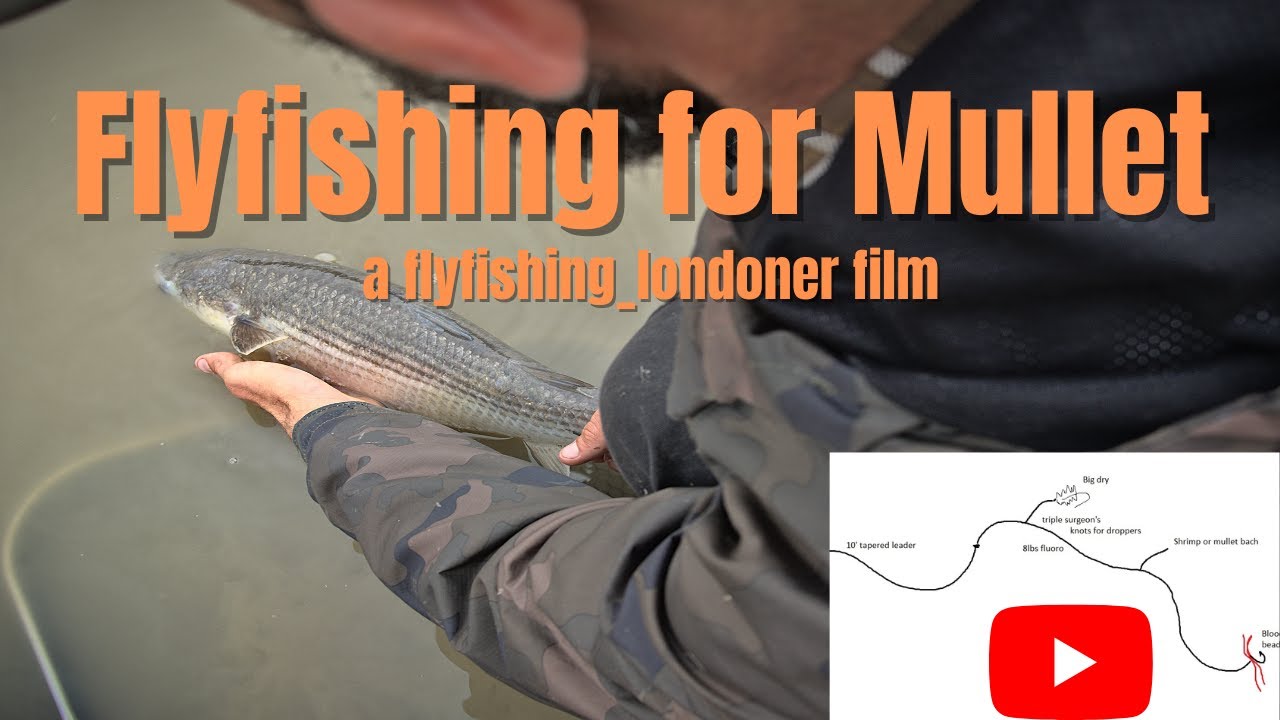 Flyfishing for mullet : thin lipped mullet : how to catch mullet - YouTube