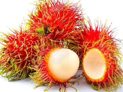 Weird Fruits: 4 of the World's Strangest