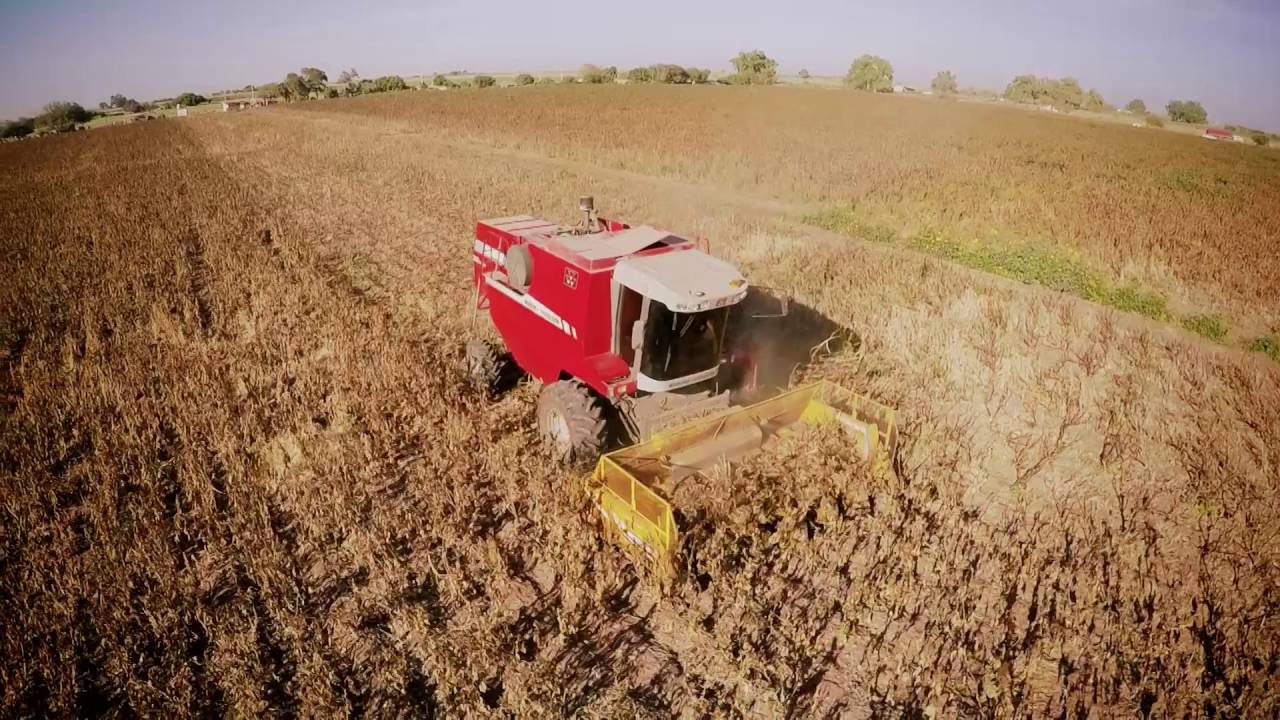 Demo Comercial Castor Fields - YouTube