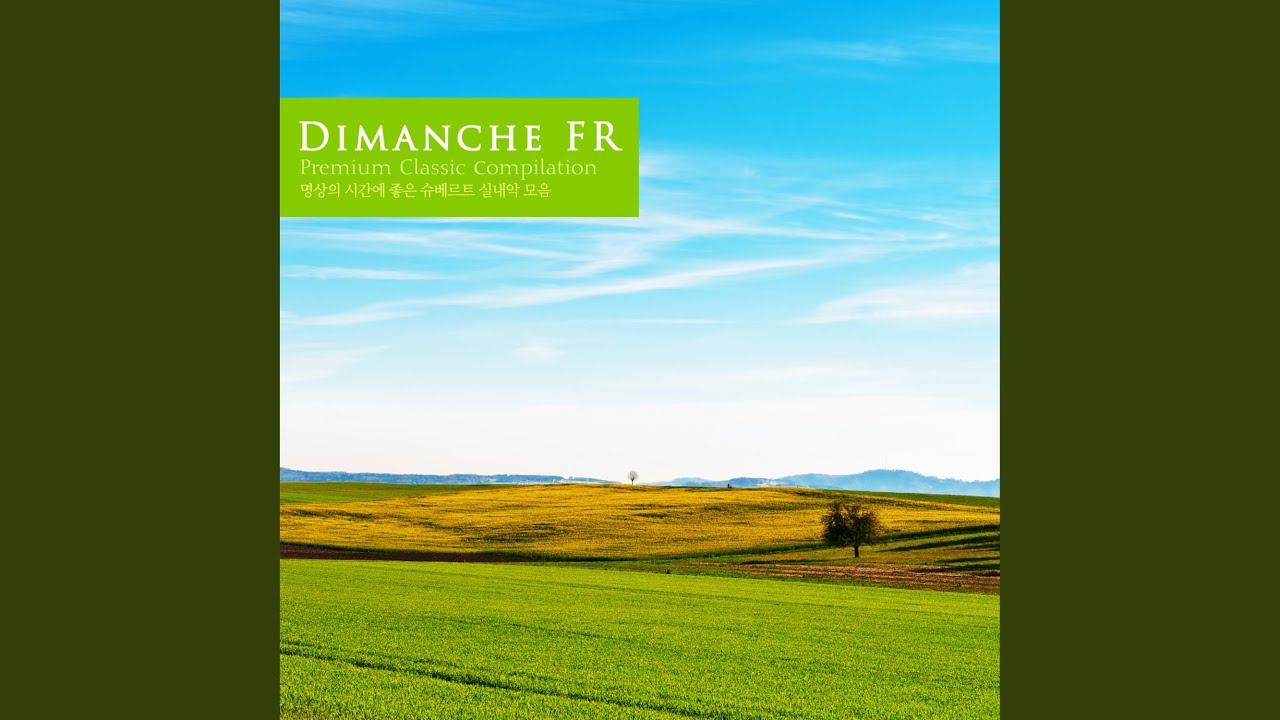 Fantasia In C Major, D.934 - II. Allegretto - YouTube