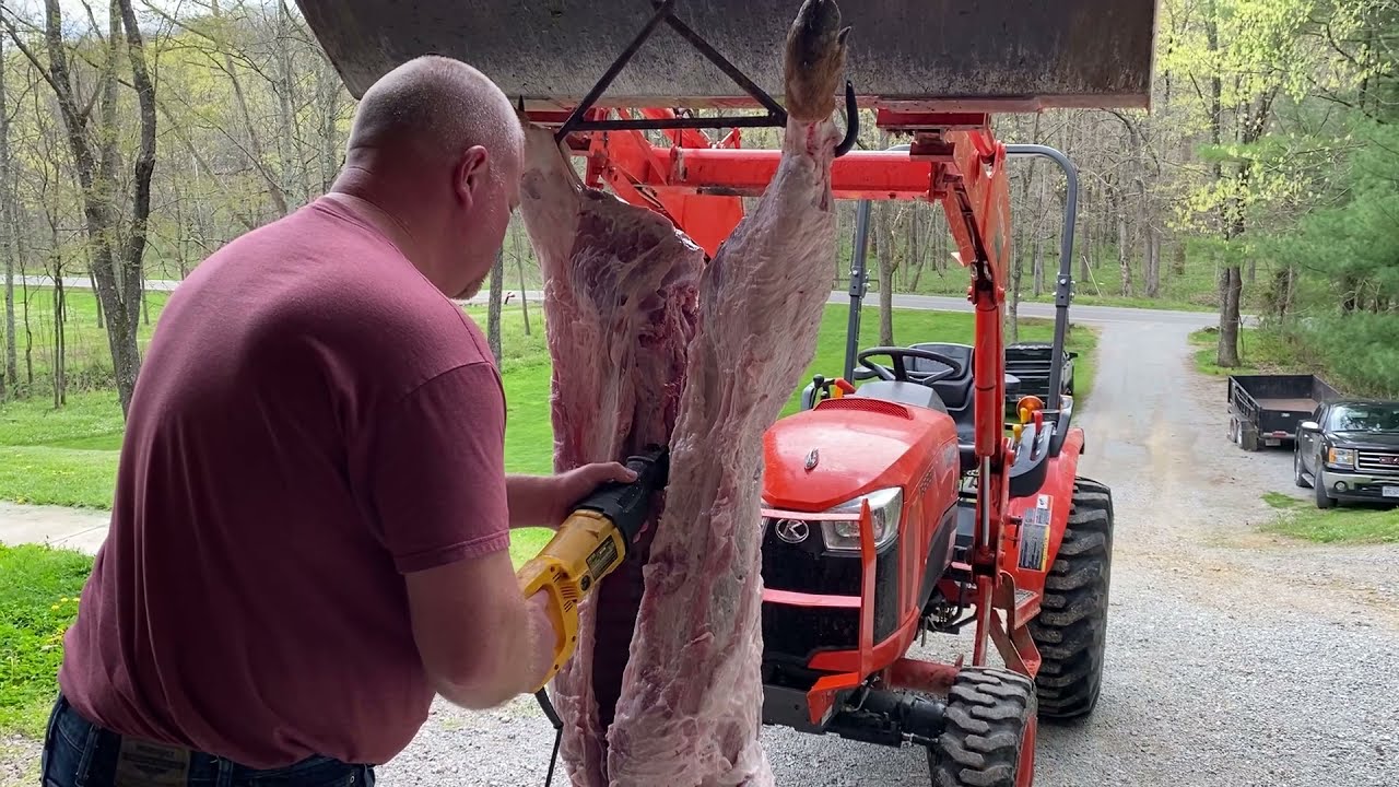 A DIY Hog Butchering - YouTube