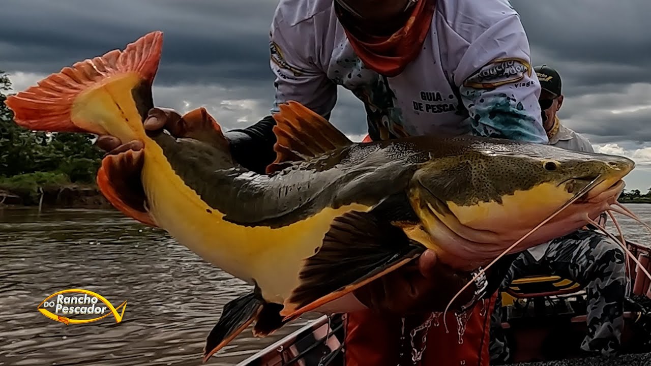 VAI COMEÇAR A TEMPORADA DOS GRANDES PEIXES DO RIO ARAGUAIA - YouTube