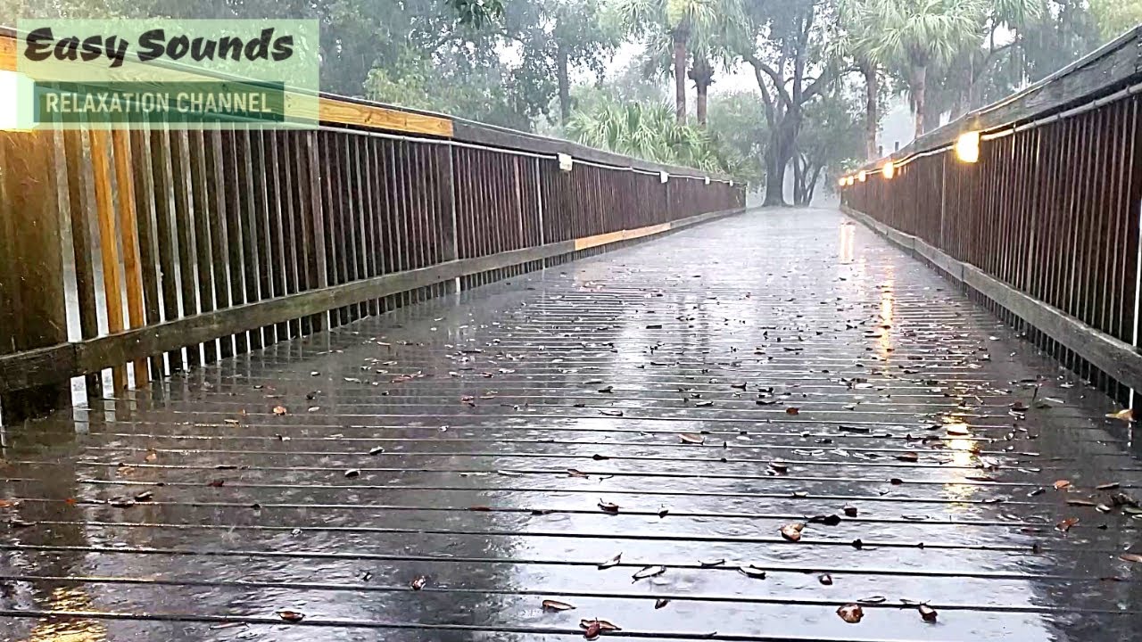 Heavy Rain at the Wooden Bridge-Morning Time-Pure Summer RAIN For Sleep ...