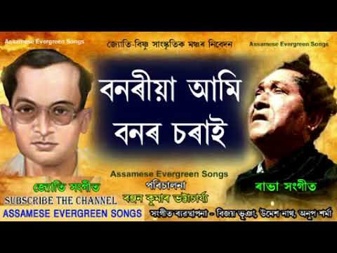 BONORIYA AMI BONOR SORAI ।। বনৰীয়া আমি বনৰ চৰাই ।।  জ্যোতি সংগীত ।। JYOTI SANGEET ।।