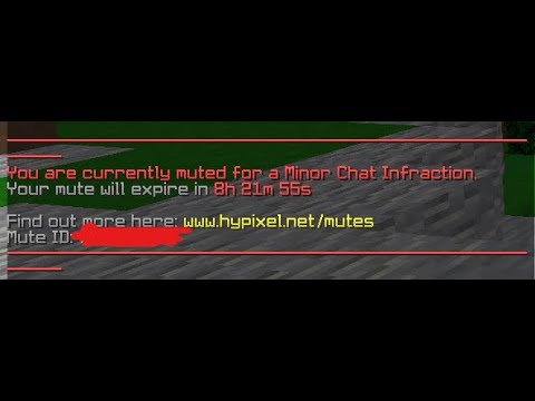 When you get muted on hypixel - YouTube