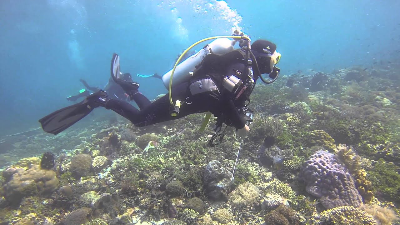 Alor archipel (Oost Timor), Indonesië - YouTube