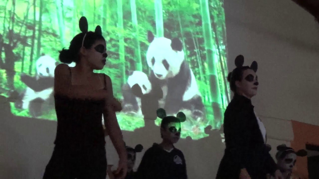 AL RITMO DE PANDAS - YouTube