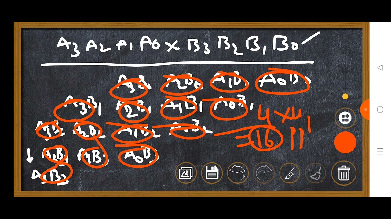 ALU AND ARRAY MULTIPLIER - YouTube