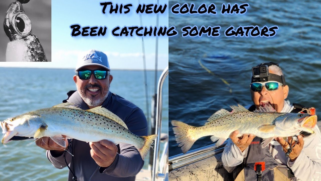 🚨🚨 NEW COLOR CATCHING GATOR TROUT 🚨🚨 - YouTube