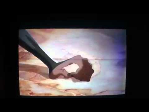 Simba sneezing :D - YouTube