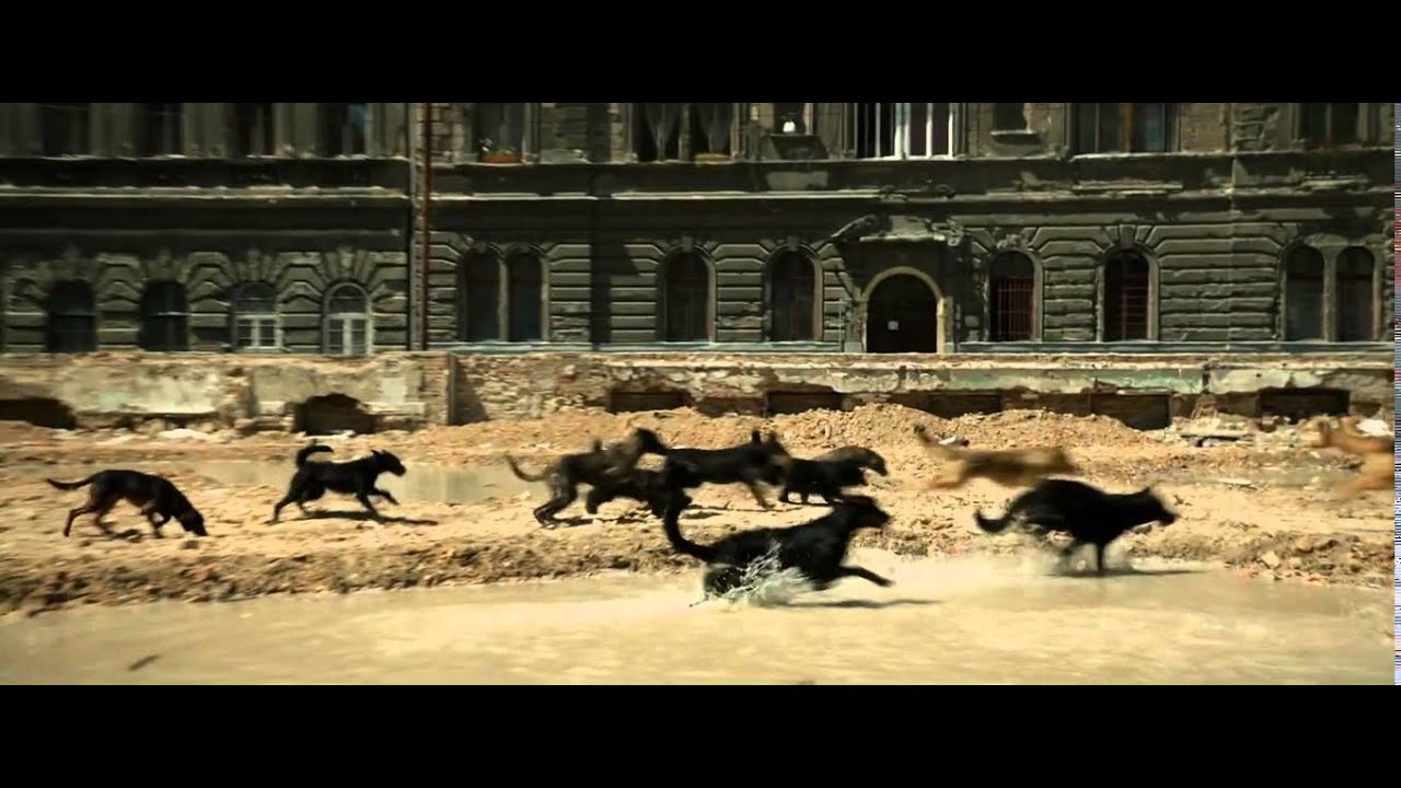 White God Official Trailer (2015) - Zsófia Psotta, Sándor Zsótér HD ...