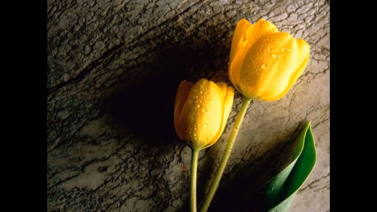 "Think of me" by Maja & Albert - YouTube